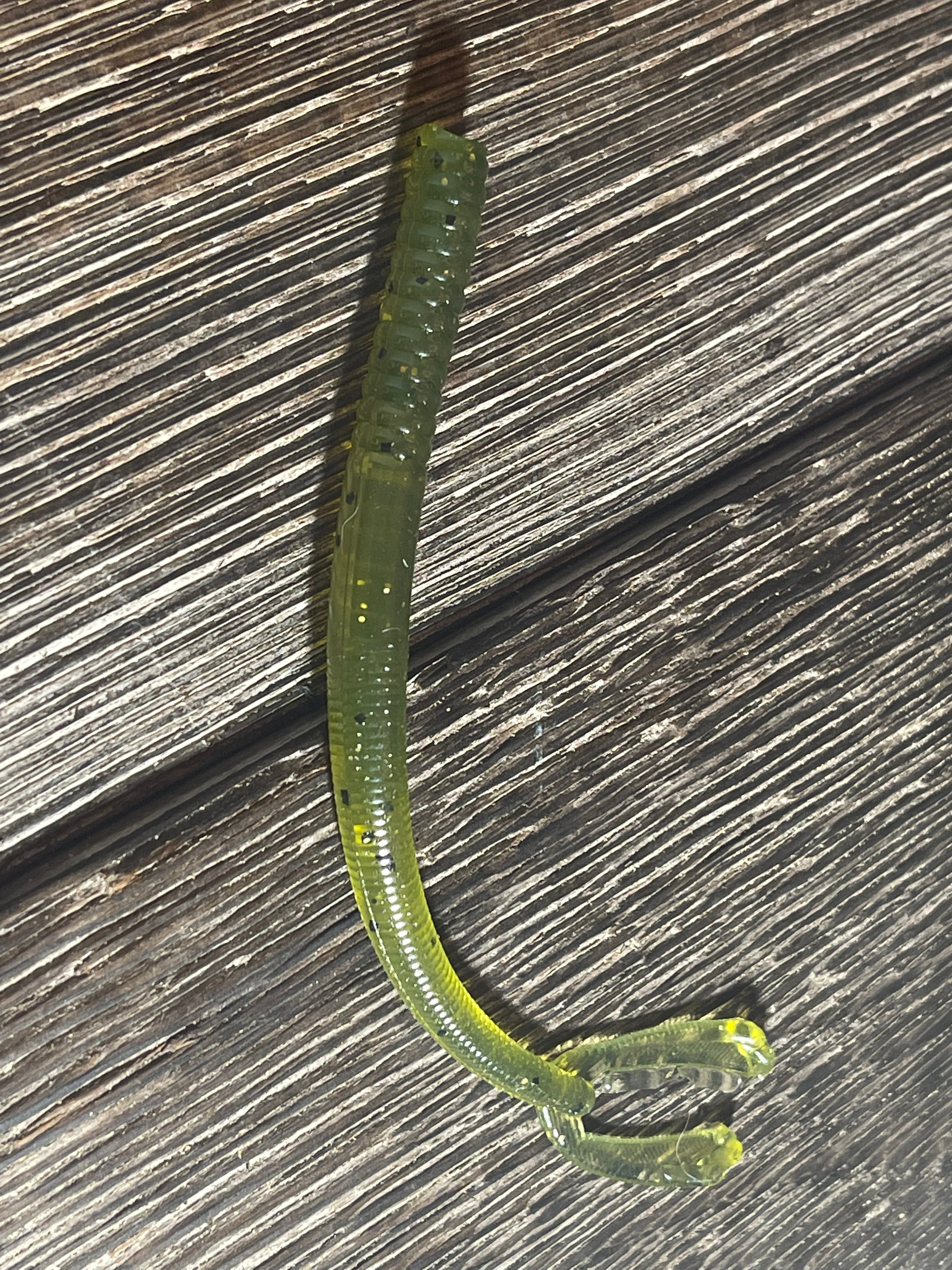 Copy of Split Tail Worm 10 ea Per Pack – beavervalleybait